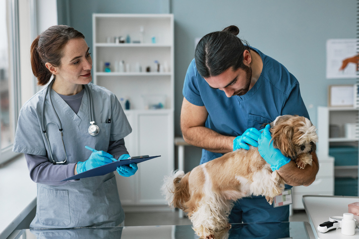 Veterinarians | EducationPlannerBC